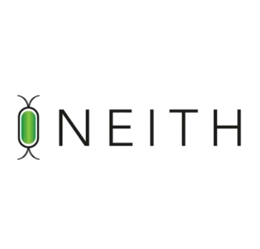 Neith Miniatures: Models